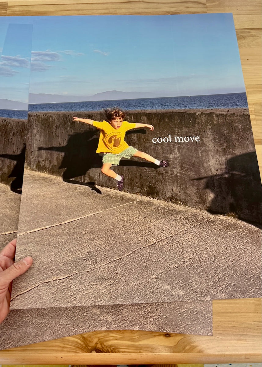 COOL MOVE POSTER – TRASHBOY