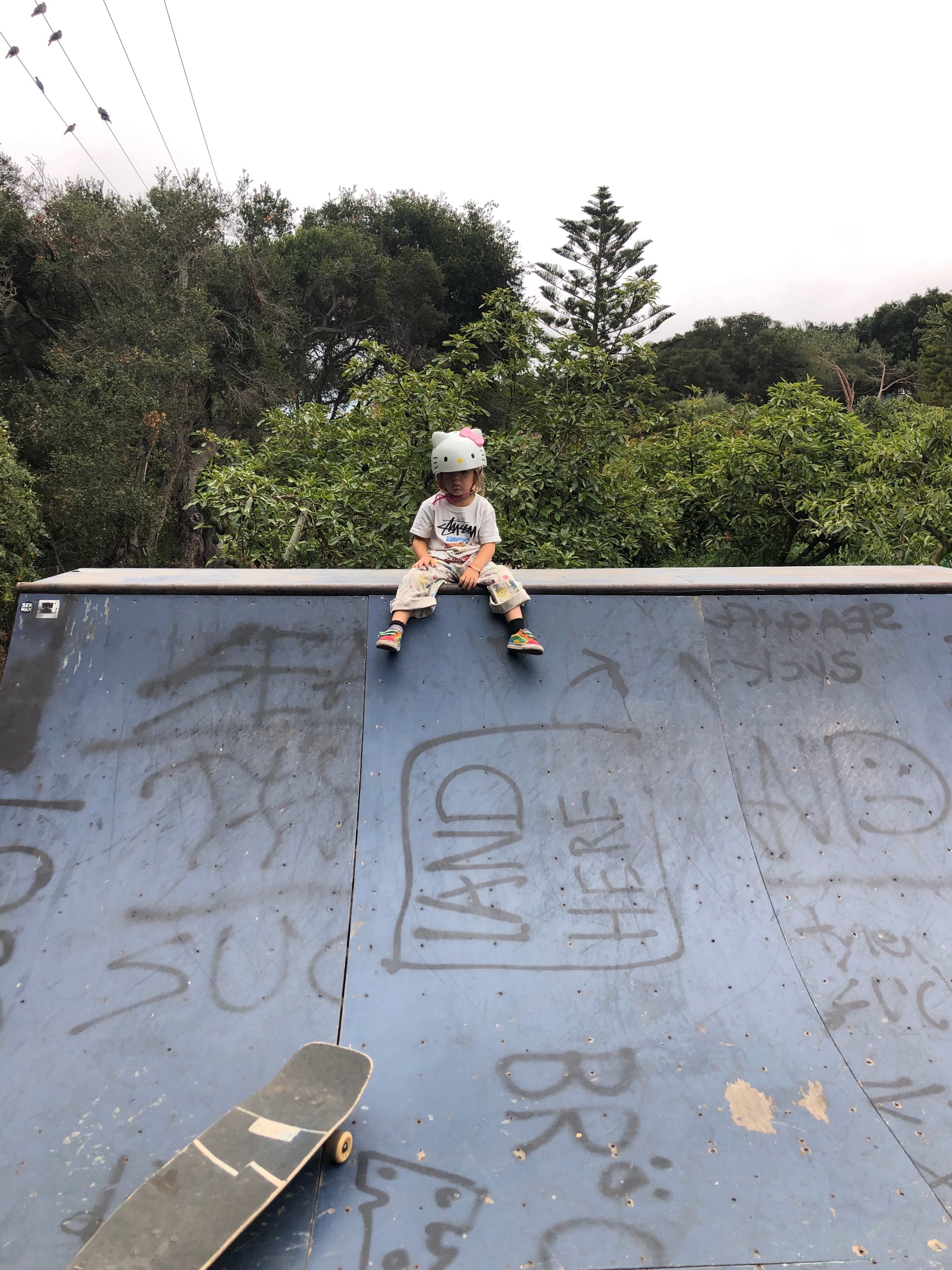 PILEY POSTER – TRASHBOY